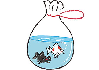 金魚・メダカすくいのあとに｜KAMIHATA BUSINESS ONLINE