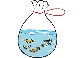 金魚・メダカすくいのあとに｜KAMIHATA BUSINESS ONLINE